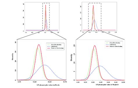 Distribution Curves Of The Bayesian Beta Binomial Model Of Lp Phenotype
