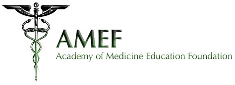 Amef Logo Logodix