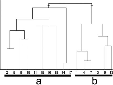 Dendrogram From Analysis Based On Bray Curtis Index Showing