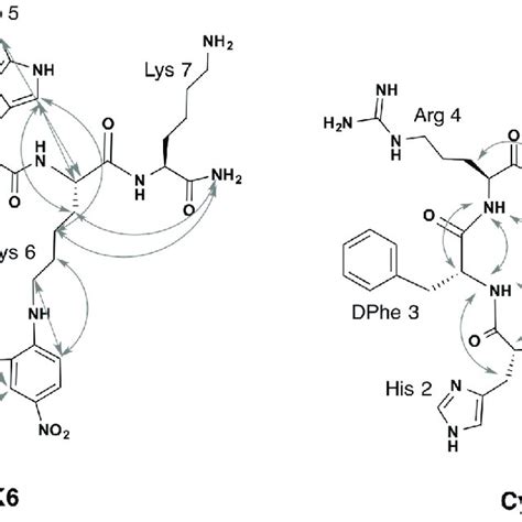 Somatostatin Structure Download Scientific Diagram