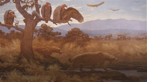 How Plate Tectonics Transformed Los Angeles Eons