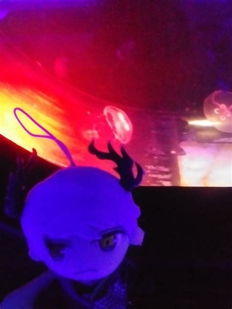 Harmonic Function On Tumblr