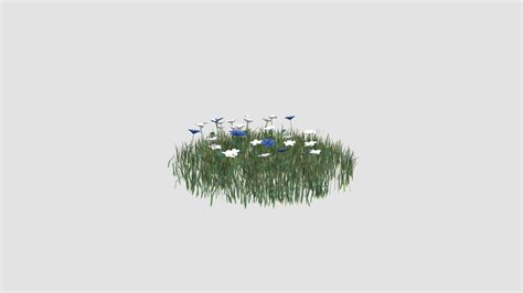 Simple Grass Medium Buy Royalty Free 3d Model By Evermotion B382cf0