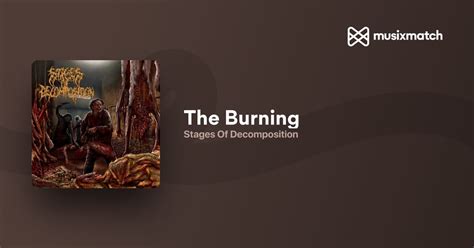 Stages Of Decomposition The Burning Lyrics Musixmatch