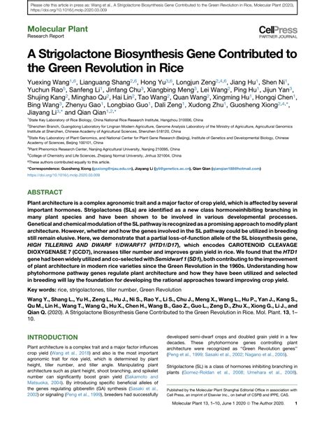 Pdf A Strigolactone Biosynthesis Gene Contributed To The Green