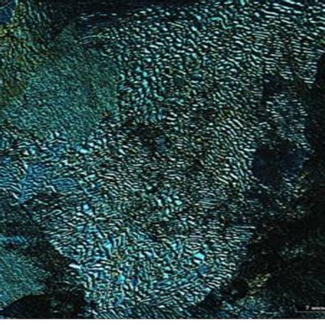 Microstructure Of Perlite With Fragmented Cementite Plates Optical Download Scientific Diagram