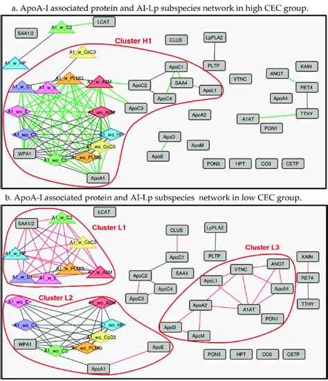 Protein Protein Correlation Network Containing Apoa I Associated