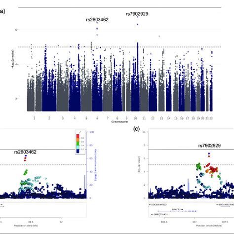 Stage 2 Mega Analysis Results A Manhattan Plot Of Stage 2 Gwas Download Scientific Diagram