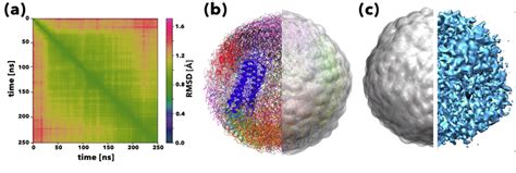 Imaging The Protein Conformational Space Root Mean Square Deviation Download Scientific