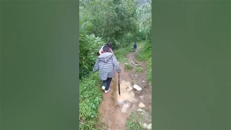 Bonito Arollo Youtube