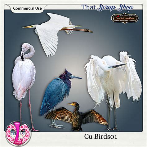 Bird 01 Cu That Scrap Shop