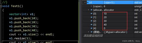 C 利器STLvector详解 vector 寻址 CSDN博客