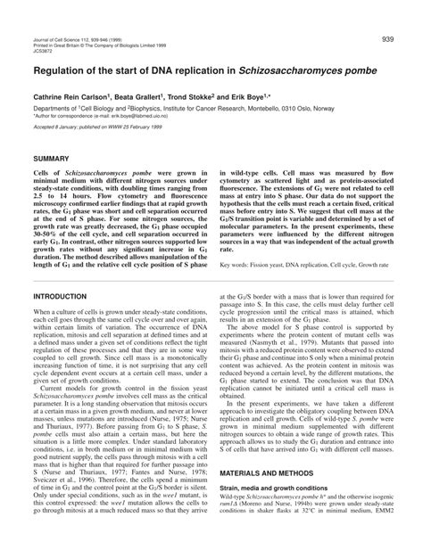 Pdf Regulation Of The Start Of Dna Replication In Schizosaccharomyces