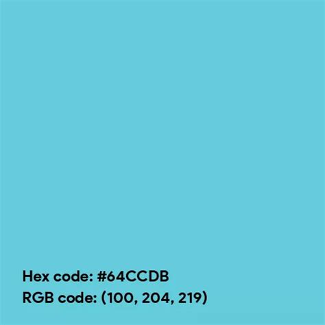 Viking Color Hex Code Is 64ccdb