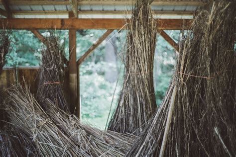 Kentucky Gets Hip To Hemp — The Bitter Southerner