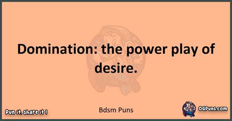 240 Shades Of Play Unleashing The Pun Derful World Of Bdsm