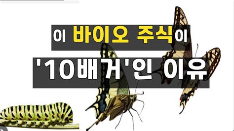 이 바이오 주식이 10배거인 이유 Youtube