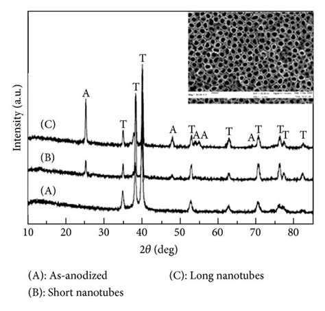 A Scheme Of Photo Induced Processes At A Tio2 Download Scientific Diagram