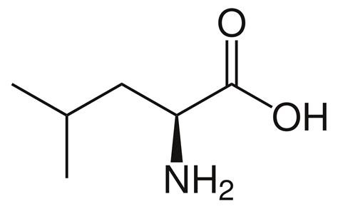 Glutamic Acid Structure
