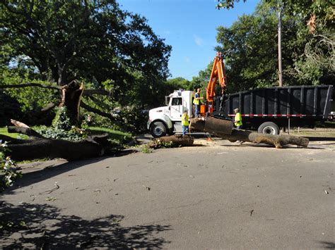 City Brush Pickup 2025 Brush Collection Schedule Now Available Ddca