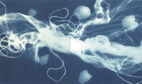 Pushpull Issue 21 — Culture Push