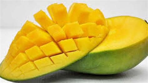 Contoh Metode Ilmiah Buah Mangga Silabus Paud