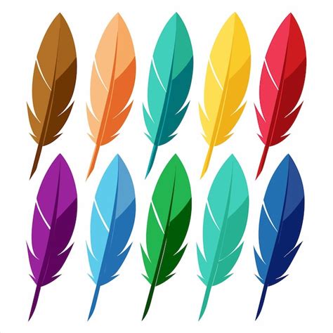 Premium Vector A Collection Of Colored Feathers With A White