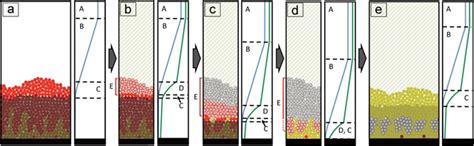Demonstrates How Plasmid Retention Preservation In Biofilms May Download Scientific Diagram