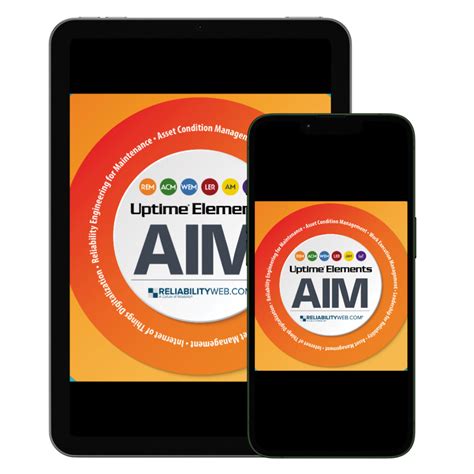 Body Of Knowledge Crl And Cmm Reliability Marketplace