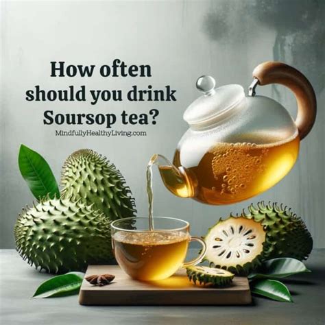 How Often Should You Drink Soursop Tea Mindfully Healthy Living