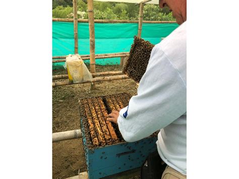 Tour En La Casa De Las Abejas Rural Adventure