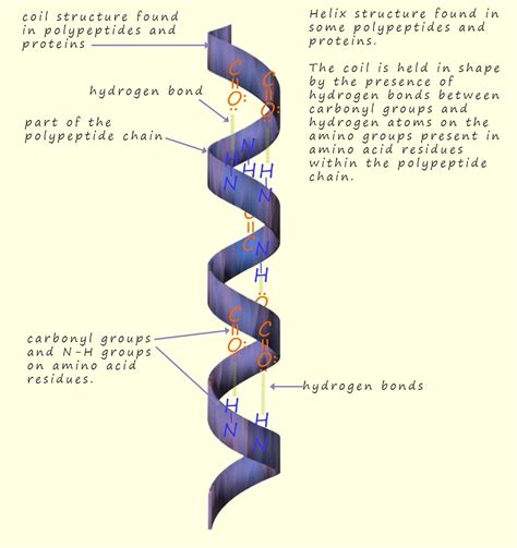 Proteins And Polypeptides