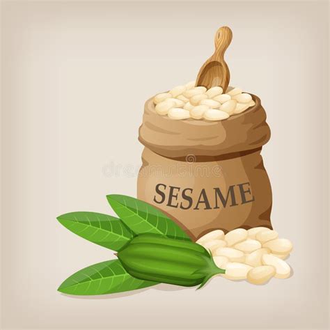 Sesame Seeds In Sack Full Burlap Bag With Sesame Seeds Stock Vector