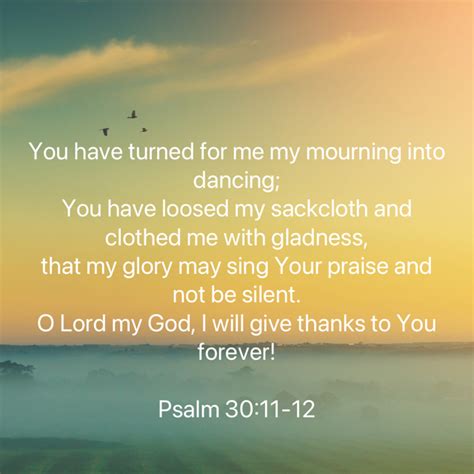 Psalms 3 3 But You O Lord Are A Shield For Me My Glory And The One Who