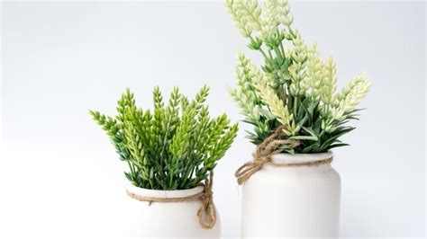 Premium Photo Close Up Of Flowers Bud In Jar Against White Background
