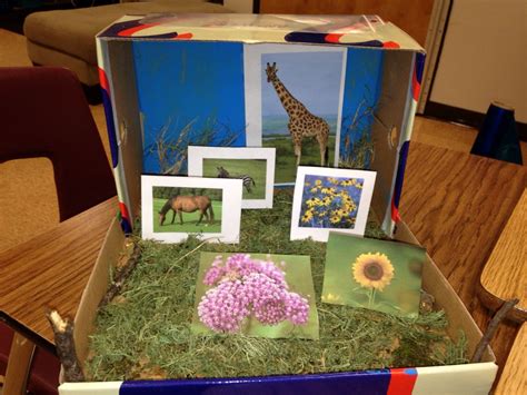 Grassland Science Project