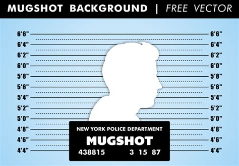 Mugshot Background Free Vector 111422 Vector Art At Vecteezy