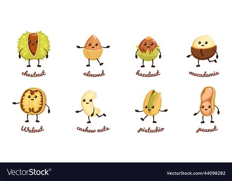 Nuts Cartoon Characters Kawaii Food Royalty Free Vector