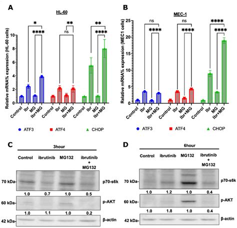 Search For Synergistic Drug Combinations To Treat Chronic Lymphocytic Leukemia