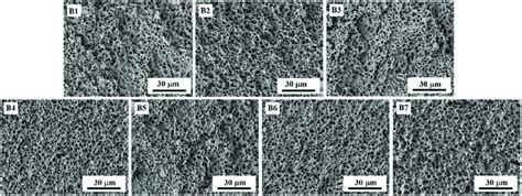 Sem Micrographs Of The Polymer Framework Of Samples B1 B7 Download