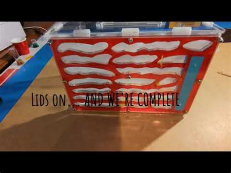 AntShopAus Vertical Nest Assembly YouTube
