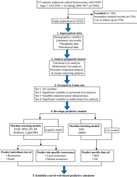 Integrating Cat Boost Algorithm With Triangulating Feature Importance