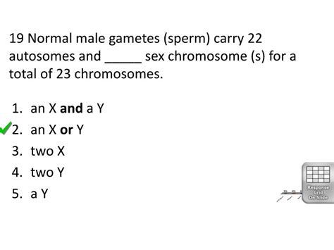 Ppt 1 Dna Is Found In The Of Eukaryotic Cells