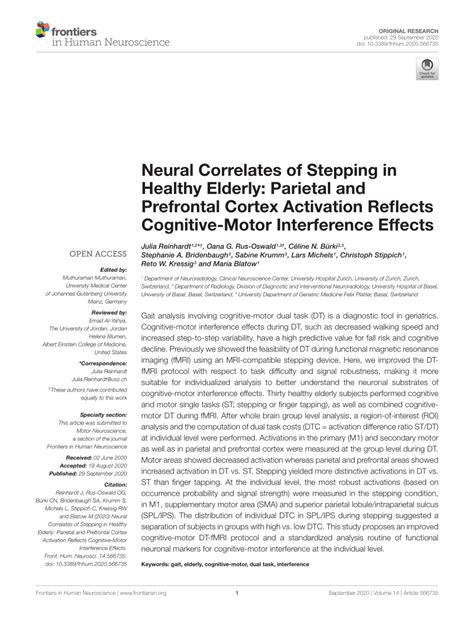 Pdf Neural Correlates Of Stepping In Healthy Elderly Parietal And
