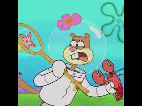 Sandy Saves Spongebob And Patrick Season 10 Episode Feral Friends
