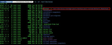 Incus Backup Bloat How To Manage Backup Archives And Images ScottiByte S Discussion Forum