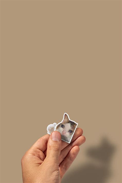 Sticker Komik Kedi Fiyatı Yorumları
