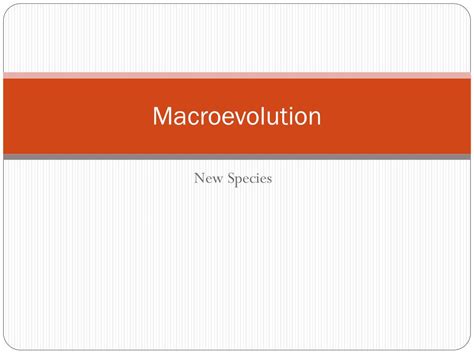 Ppt Macroevolution Powerpoint Presentation Free Download Id2576096