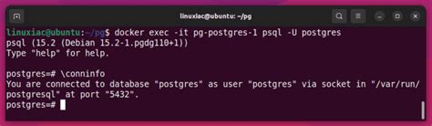 How To Run PostgreSQL With Docker A Step By Step Guide