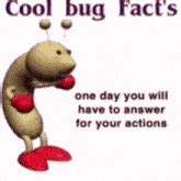 Cool Bug Facts One Day You Will Have To Answer For Your Actions  Cool Bug Facts One Day You
